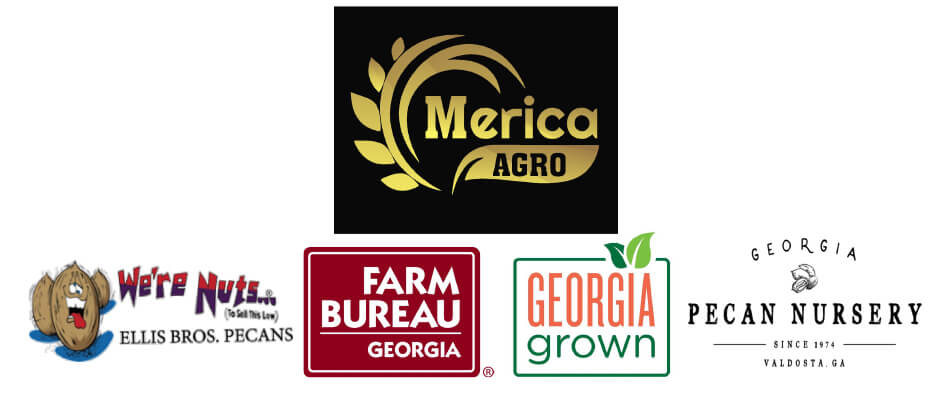 Home - Georgia Pecan Growers Association - Nature's Health Food